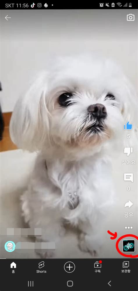 유튜브 쇼츠 지식in