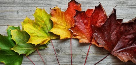 Sharedflow Vs Stateflow Best Practices And Real World Examples By Morty Medium