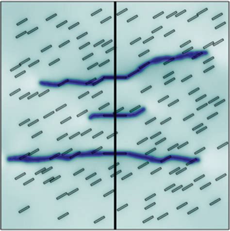Fracture Network Morphology At Different Natural Fracture Orientations Download Scientific