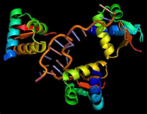 Rna Binding Protein Alchetron The Free Social Encyclopedia