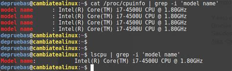 lscpu muestra información del procesador y cpu