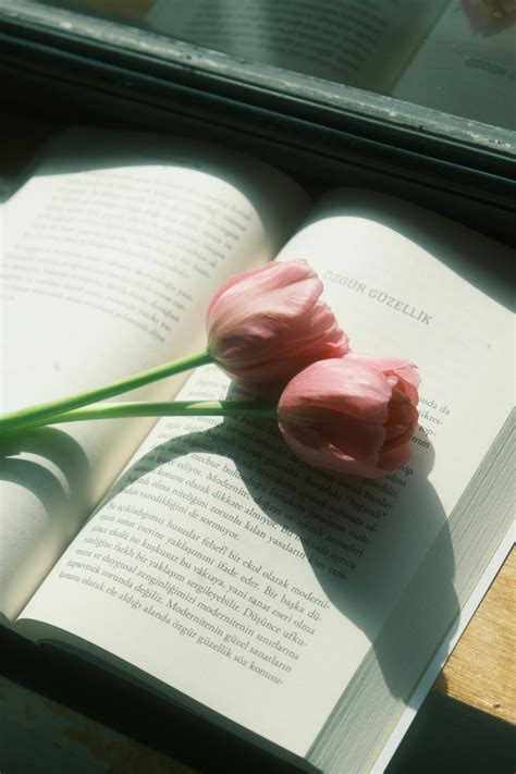 무료 이미지 도서 꽃잎 출판 세례반 마젠타 표 결혼 예식 공급 리넨 카민 꽃을 자르다 위로 패션 액세서리 방 쓰기 꽃 피는 식물 아직도 인생