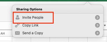 How To Share Excel Workbooks Step By Step Guide For Multiple Users 2025
