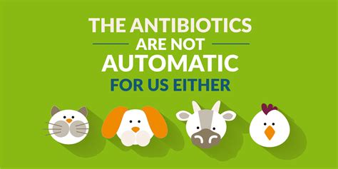 Why And How To Limit Antibiotic Use In Livestock Farming
