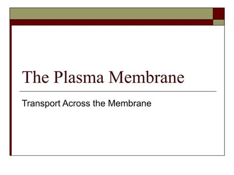 Theplasmamembrane Theplasmamembrane Ppt