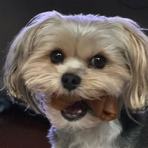 Lorie Ann Lorieann Threads Say More