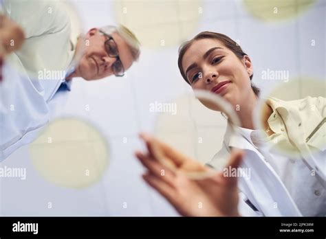 Making Another Outstanding Discovery Low Angle Shot Of Two Scientists