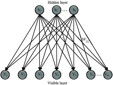 The Architecture Of The Rbm Download Scientific Diagram