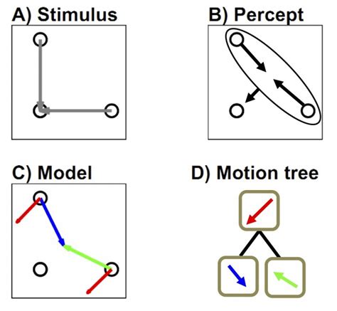 Hierarchical Motion Perception The Center For Brains Minds And Machines