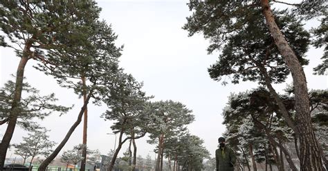 오늘날씨 대설 맞아 중부지방 오전 눈낮부터 추위 풀려