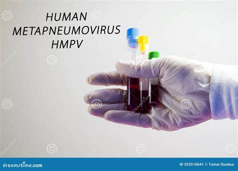 Human Metapneumovirus Hmpv Virus Stock Image Image Of Laboratory