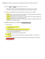 Lab Assignment Docx Directions Answer The Following Questions Using Visible Body