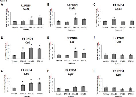 Figure 3 From The Effects Of In Utero Bisphenol A Exposure On The Ovaries In Multiple