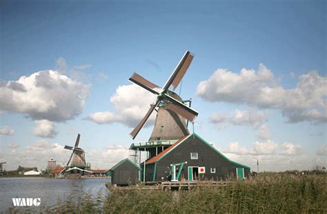 네덜란드 잔세스칸스 풍차마을 And 암스테르담 시내 투어