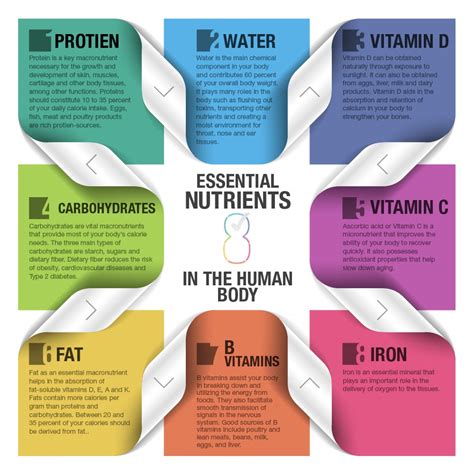 Explain The Sources And Role Of Essential Nutrients For Health