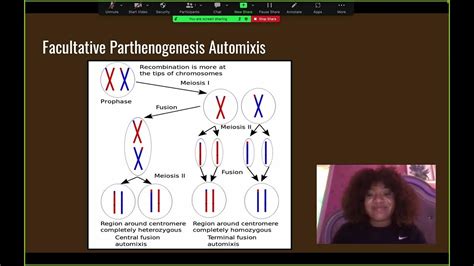 Parthenogenesis In Snakes Explained Youtube