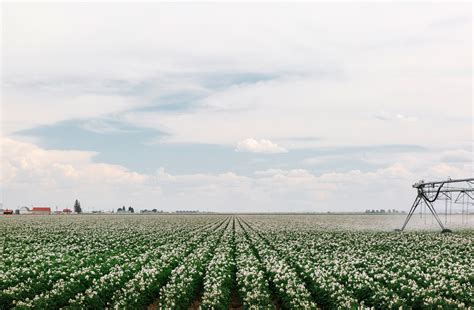 The Worst Internet In America FiveThirtyEight