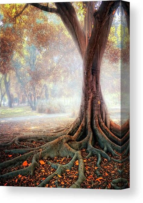 Tree Roots Painting