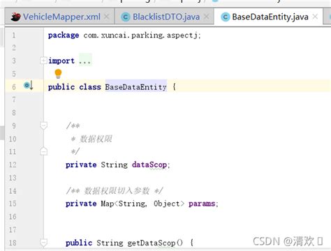 若依框架 datascop不生效问题 若依datascope 不起作用 csdn博客