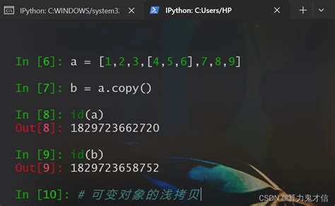 Python 深浅拷贝使用与区别 Csdn博客
