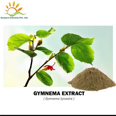 Gymnema Sylvestre Extract Packaging Type Hdpe Drum Packaging Size