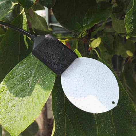 Cdw 22a Leaf Wetness Sensor Leaf Humidity Sensor Coda Sensors