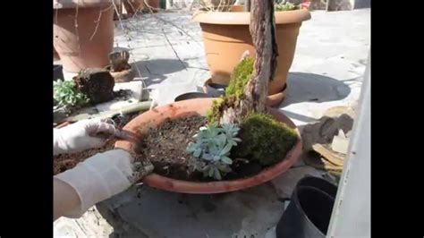 My Mini Garden ჩემი პირველი მინიატურული ბაღი Youtube