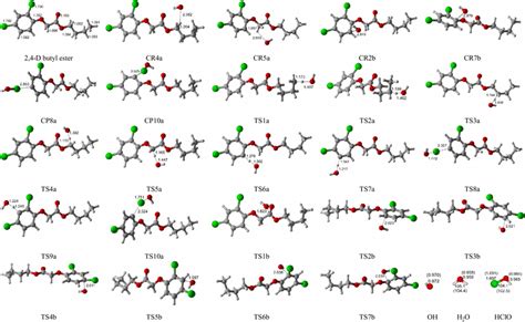 Optimized Geometries Of The Reactants Complexes Transition States And