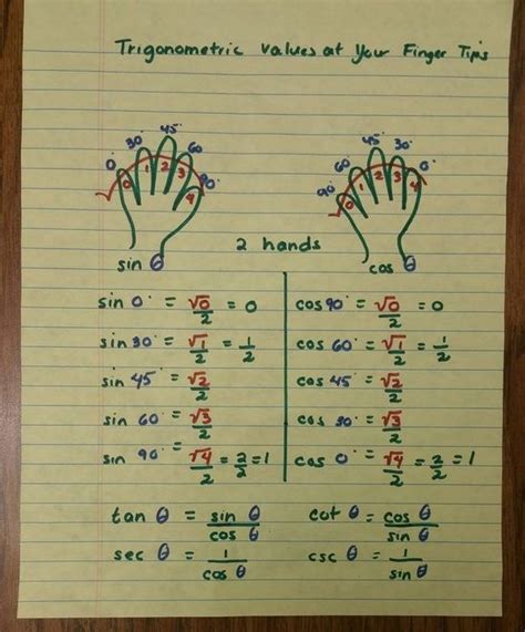 Printing Shockproof Fitness Running Wear Sports Bra With Fixed Pads An Skole Hacks