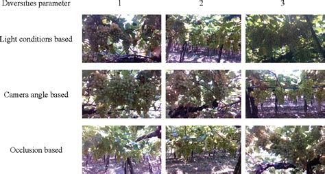 Figure 1 From Comparative Analysis Of 2d And 3d Vineyard Yield