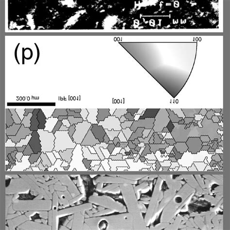 A Presents An Sem Image Of A Typical Microstructure Of A Granular