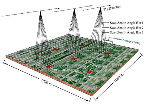 Direct Estimation Of Forest Leaf Area Index Based On Spectrally Corrected Airborne Lidar Pulse