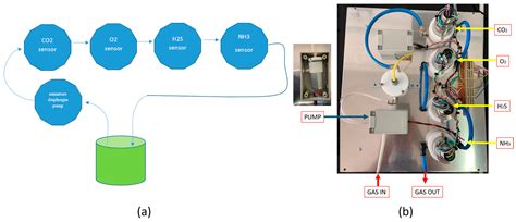 application of a multi gas detector for monitoring gas composition in minced beef during storage