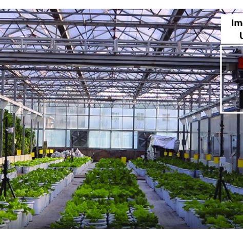High Throughput Phenotyping Platform For Greenhouses The Imaging