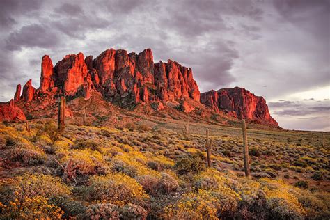 Desert Cactus Wallpapers Top Free Desert Cactus Backgrounds