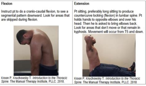 Module Part Thoracic Region Assessment Flashcards Quizlet