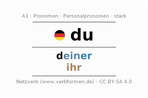 Deklination Du Alle Fälle Des Pronomens Plural Genus Netzverb
