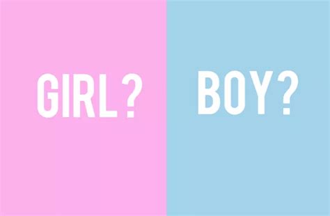 被性教育课程排斥在外请使用跨性别友好语言 百科TA说 被性教育课程排斥在外请使用跨性别友好语言 百科TA说