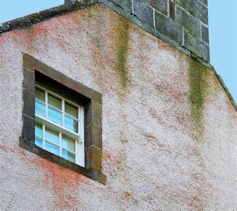 Algae On The Facade Removal Of Red Algae And Green Growth ProPERLA