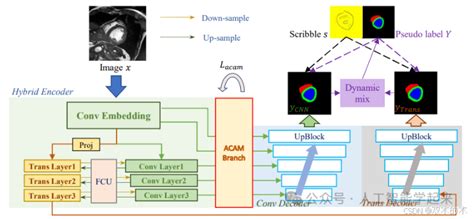 Arxiv每日学术速递 强强联合：cnn与transformer融合创新提升模型性能！！ 基于cnn Transformer网络融合模型的动态肌肉疲劳状态识别研究 Csdn博客