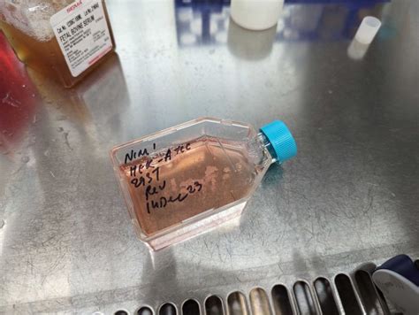 deep origin on linkedin science laboratory biotech