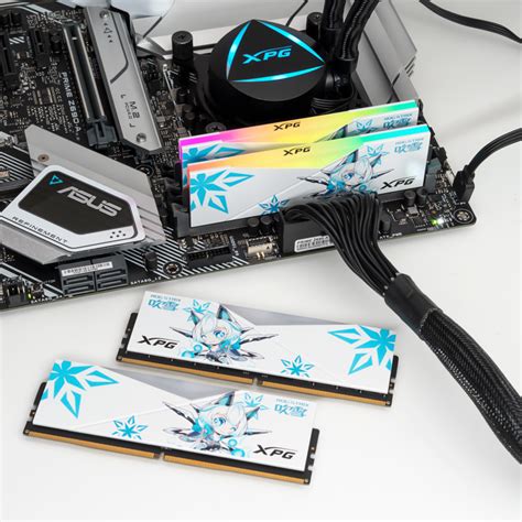 威刚xpg Ddr5内存条8 16 32g套条rgb台式电脑用吹雪联名6000 7200 虎窝淘