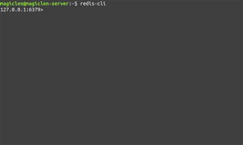 使用ubuntu Server架設redis伺服器，並於php程式中存取redis資料庫 Magiclen