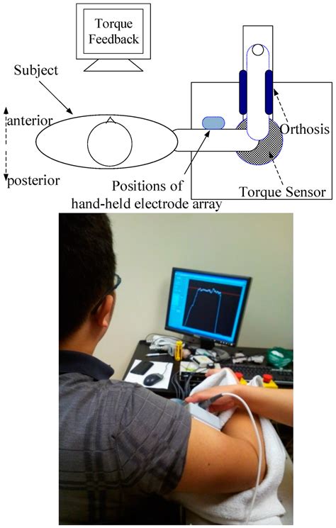 Sensors Free Full Text Localized Electrical Impedance Myography Of