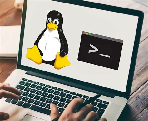 best linux courses and certificates [2025] coursera learn online