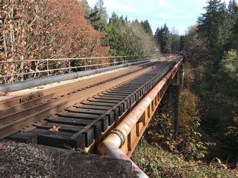 Hollyburn Interceptor Cypress Creek Crossing Bypass And Pipe