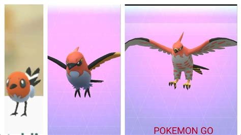 Pokemon Fletchinder Evolution