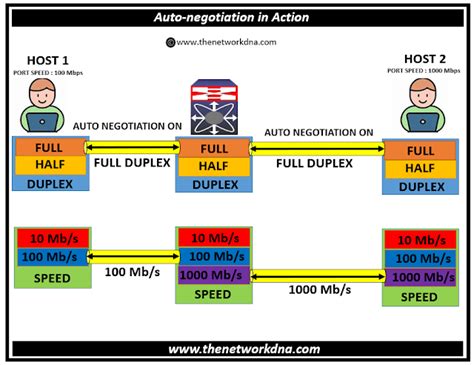 CCNA RnS Article Interface Auto Negotiation In Action The Network DNA