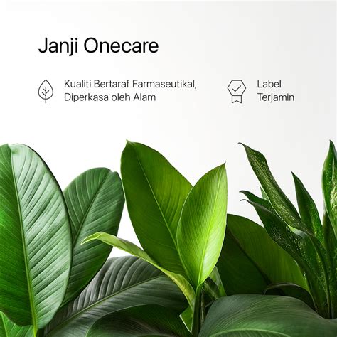 Onecare Malaysia Onecaremy • Instagram Photos And Videos