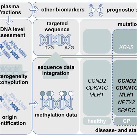 Pdf Cell Free Dna Methylation The New Frontiers Of Pancreatic Cancer Biomarkers Discovery